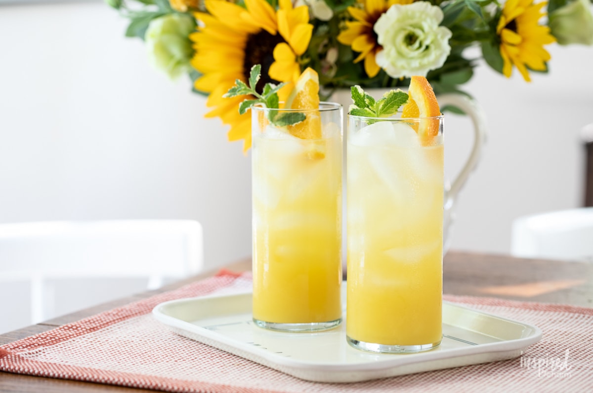Citrus-Ginger Spritzer Drinkg Recipe