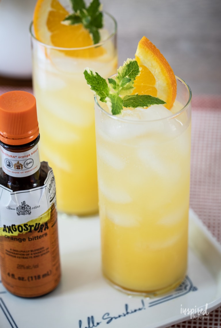 Citrus-Ginger Spritzer Drinkg Recipe