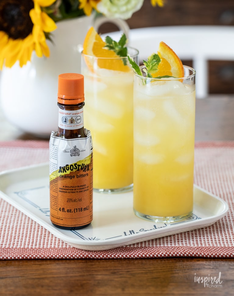 Citrus-Ginger Spritzer Drinkg Recipe