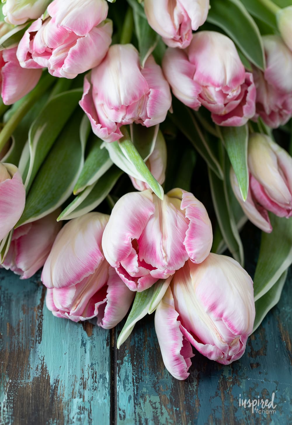 Arranging Tulips: Tips and Tricks for Beautiful Arrangements