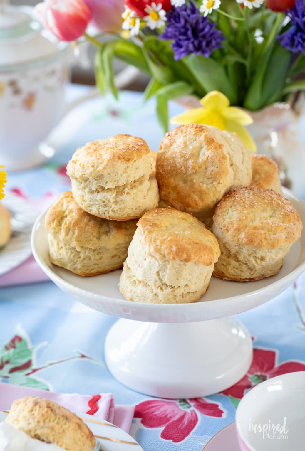 The BEST Homemade Scones