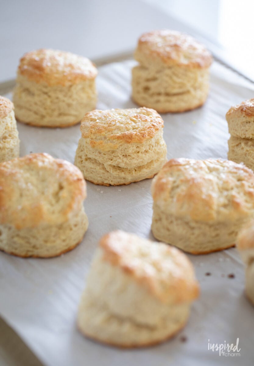 The BEST Homemade Scones