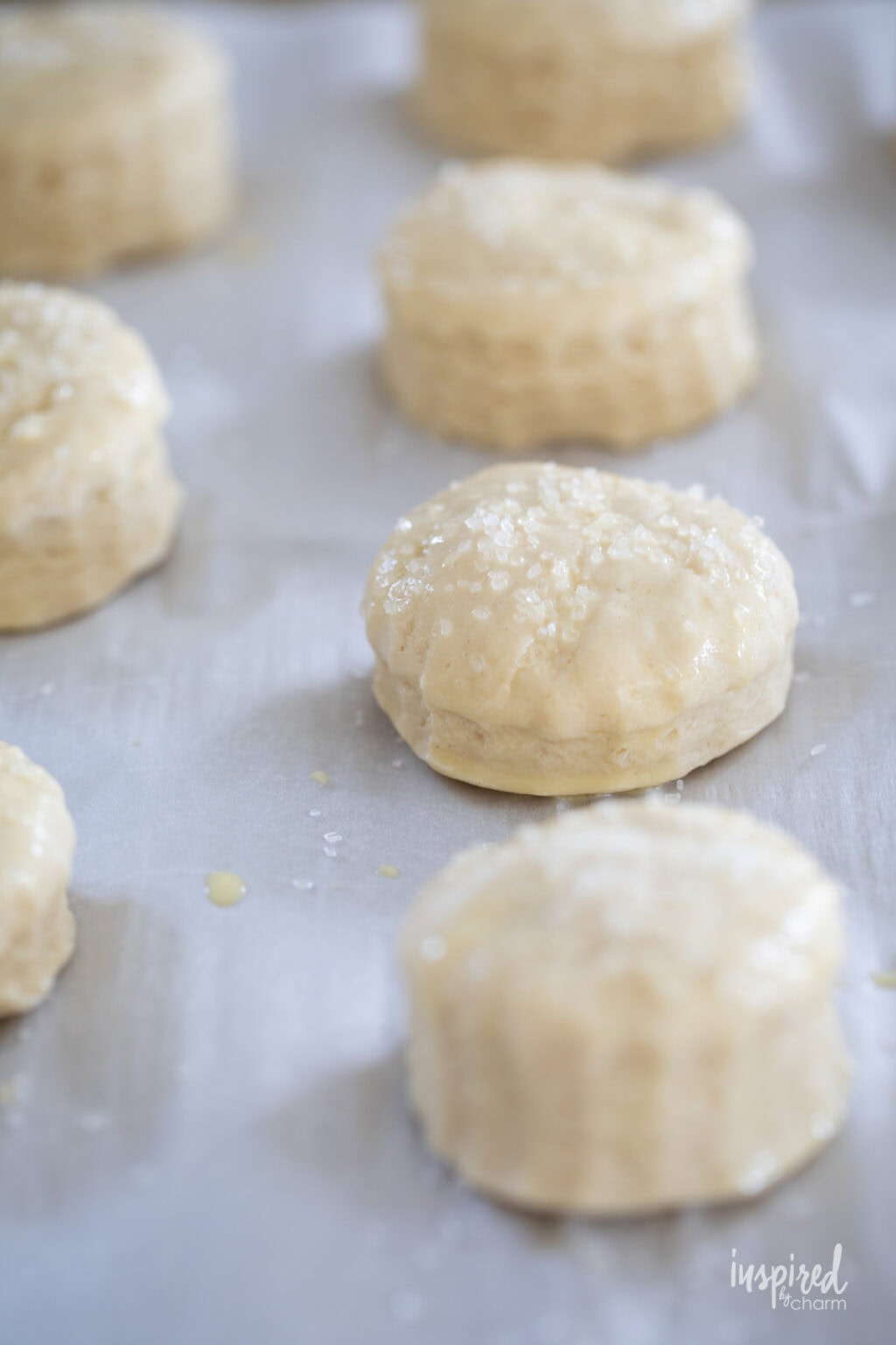 The BEST Homemade Scones