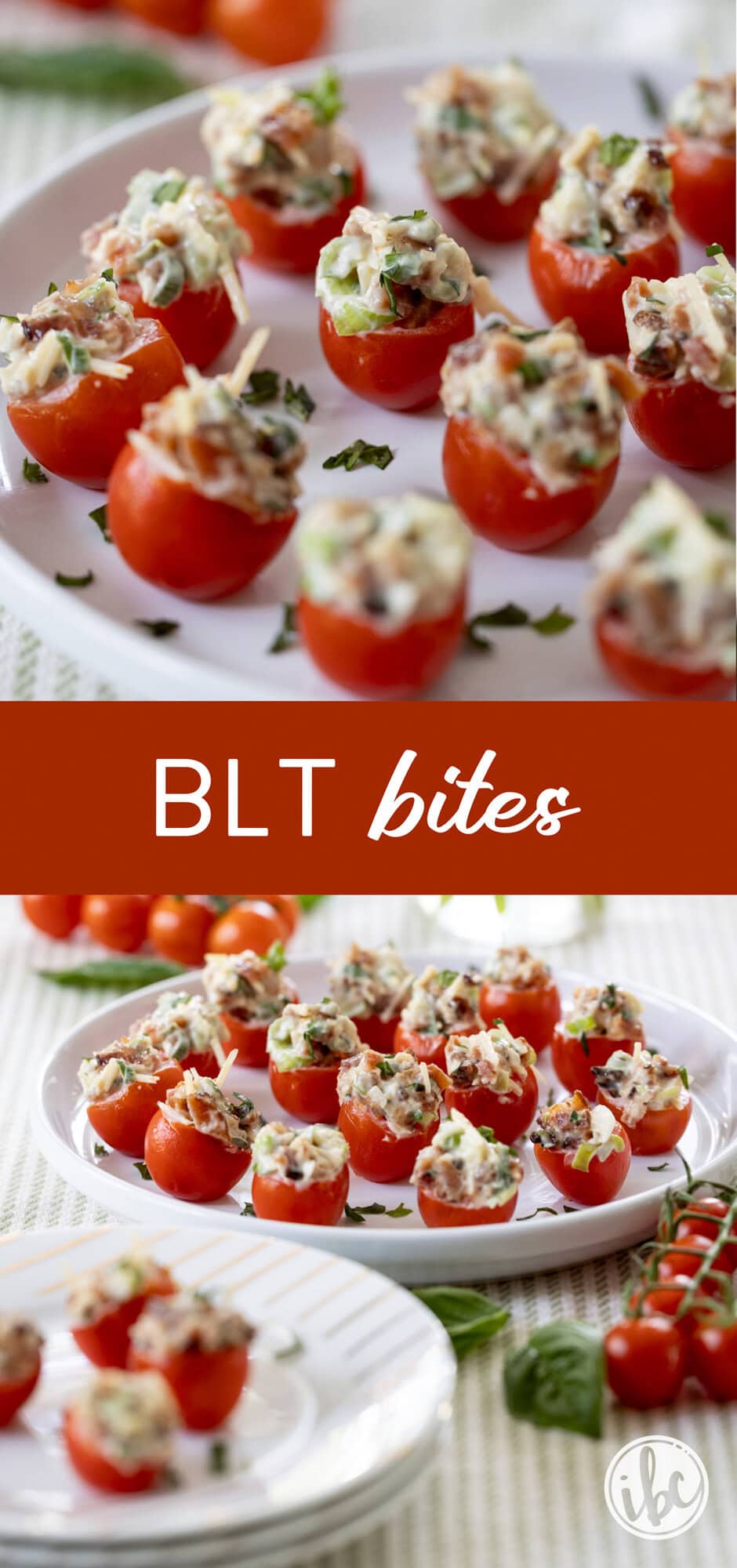 BLT Bites Appetizer Recipe